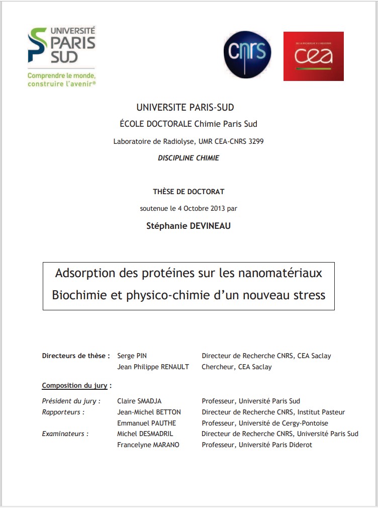 Adsorption des protéines sur les nanomatériaux. Biochimie et physico ...