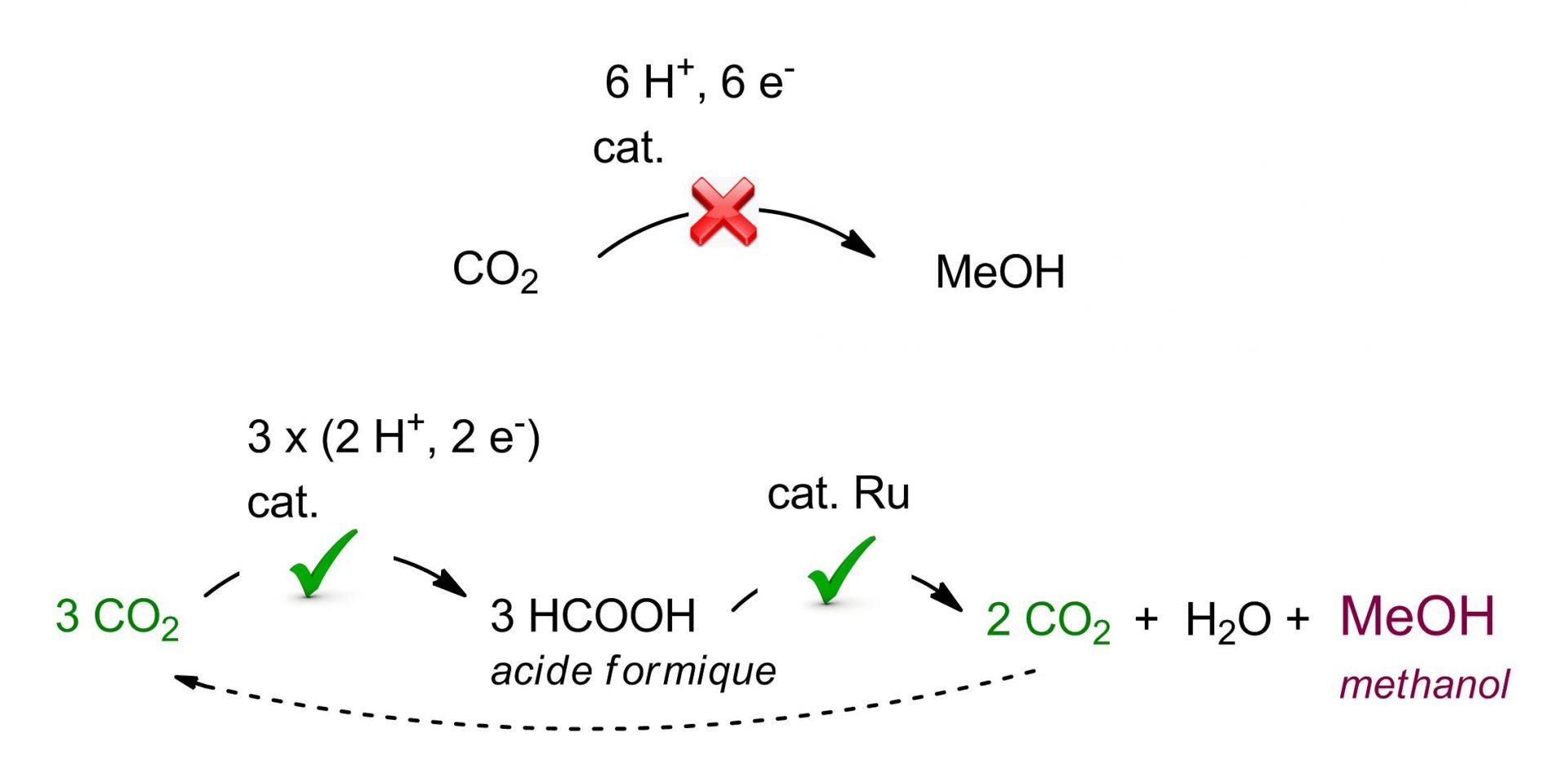 L’acide formique, un relai efficace pour la production du méthanol à ...