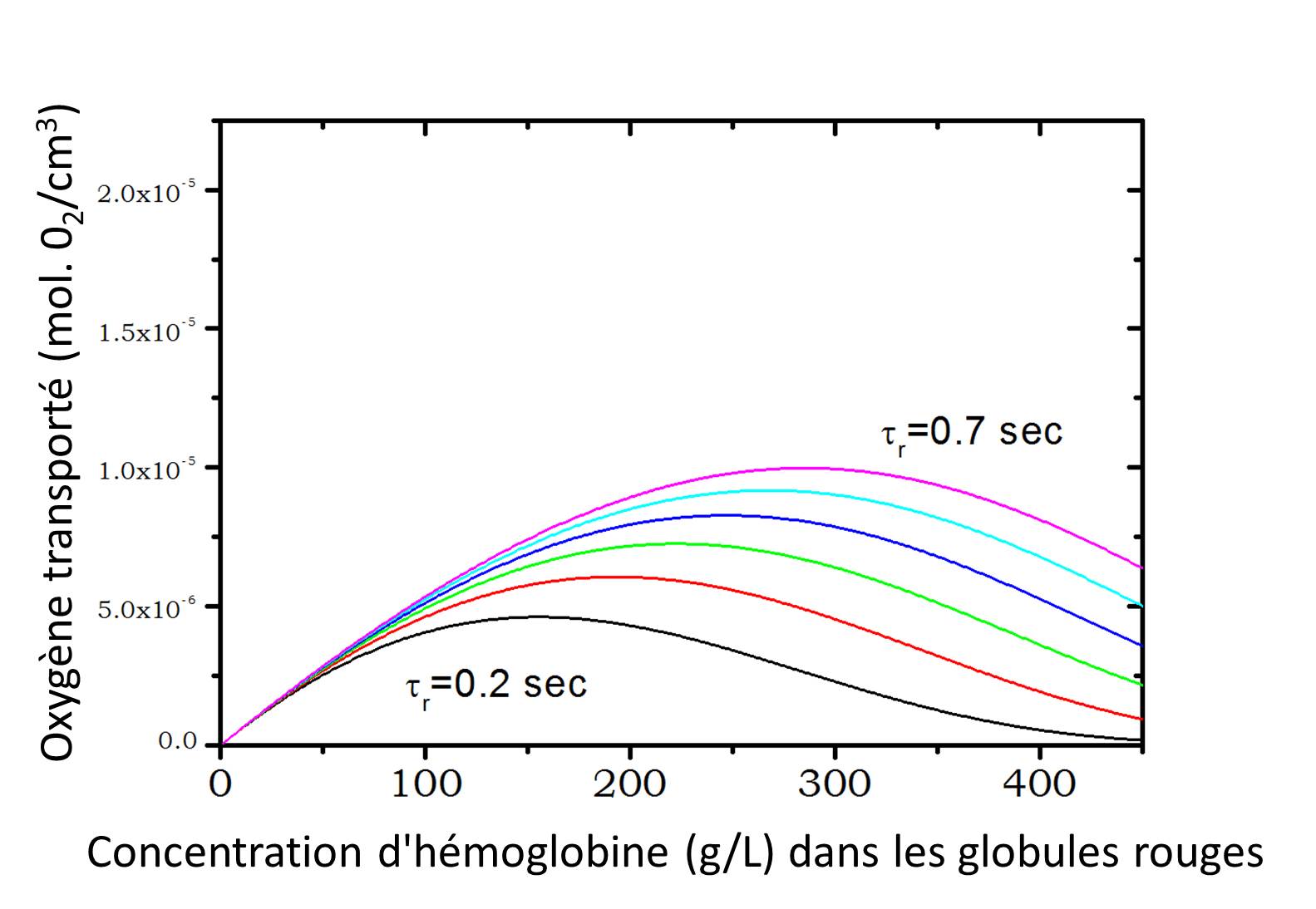 Diffusion de l’hémoglobine : impact sur le transport d’oxygène par les ...