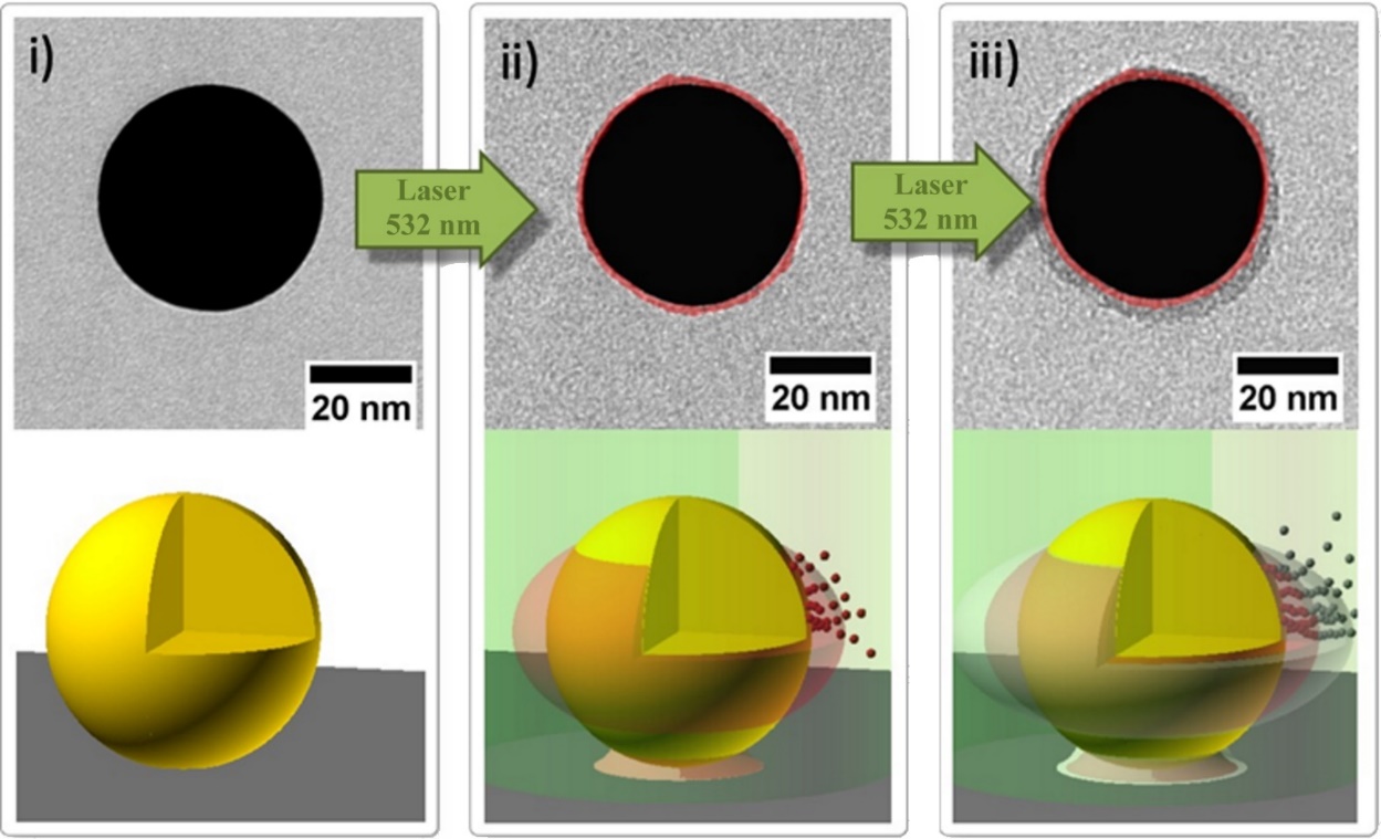 Photopolymérisation plasmonique : une voie de synthèse simple d’objets ...