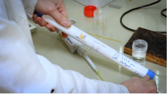 Tutorial: sample preparation for SAXS measurements - IRAMIS