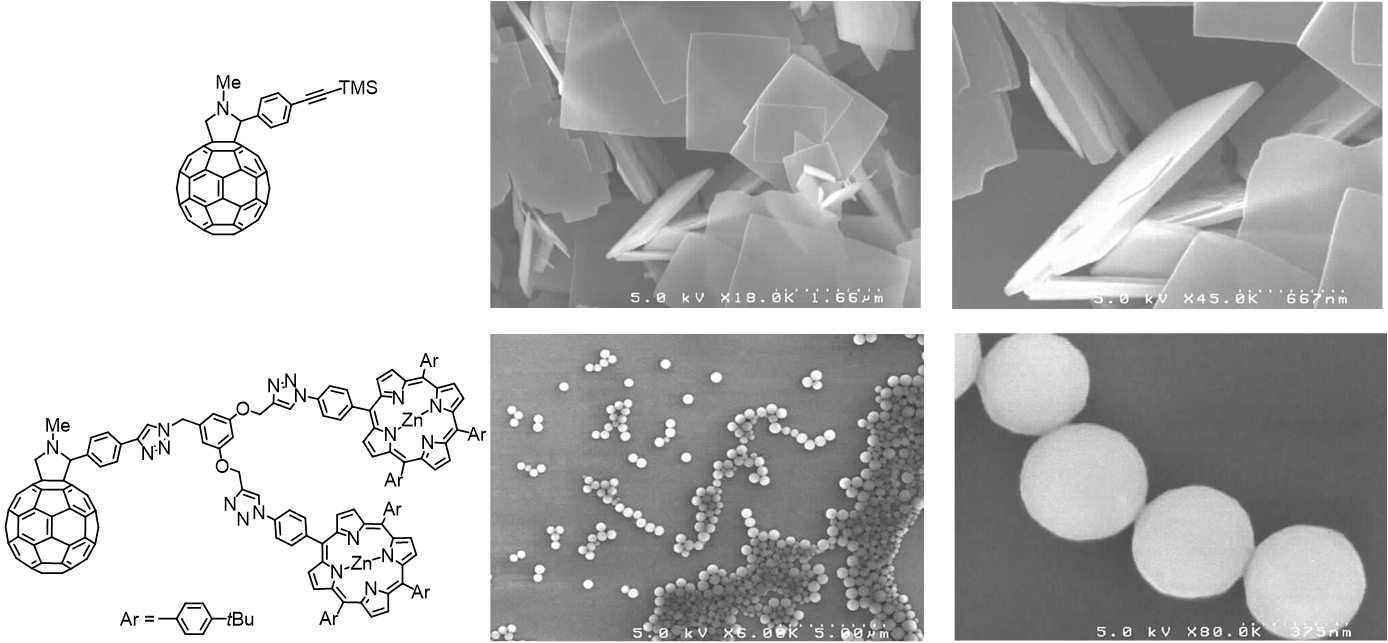 Stephane CAMPIDELLI - IRAMIS