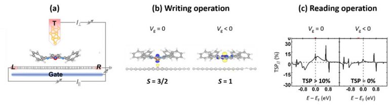 Spin manipulation and detection at the single molecule scale : Towards ...