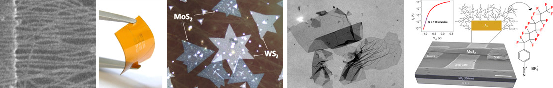 Vincent DERYCKE - IRAMIS