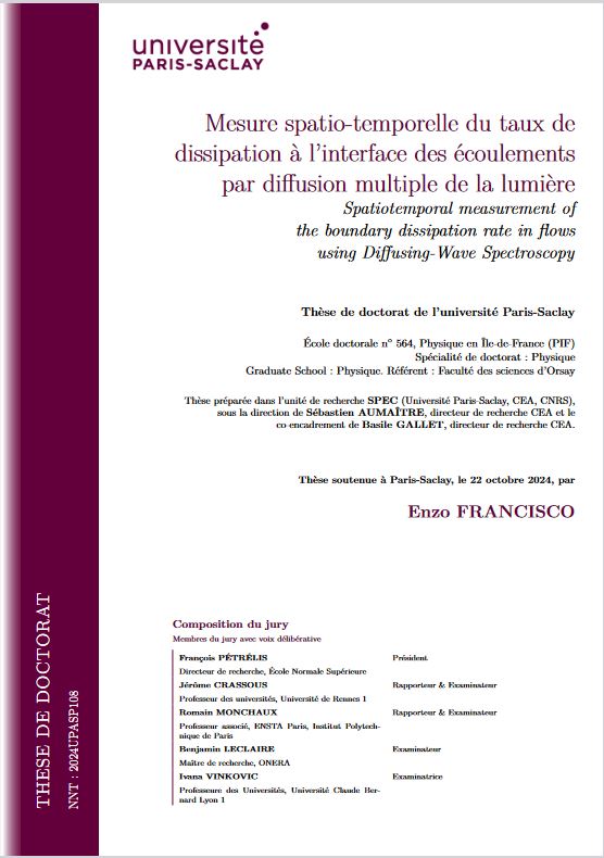 Spatiotemporal measurement of the boundary dissipation rate in flows ...